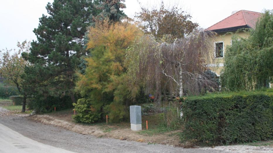 Skurriler Streit um eine Hecke Skurriler Streit um eine Hecke