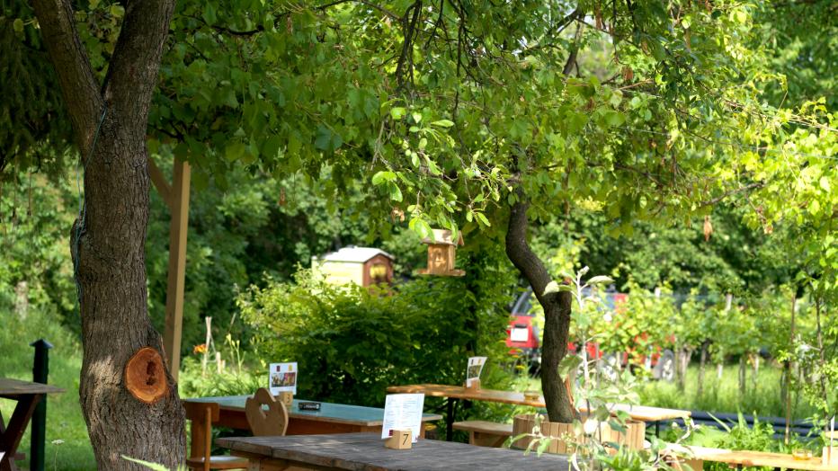 Top 20: Die schönsten Heurigen im Herbst | Kurier