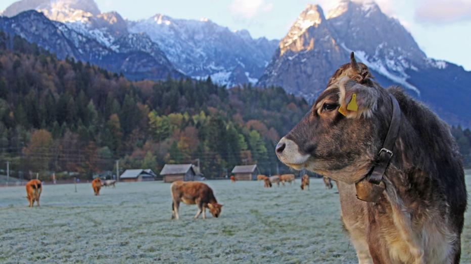 Garmisch-Partenkirchen: Idyllisch und abwechslungsreich | Kurier