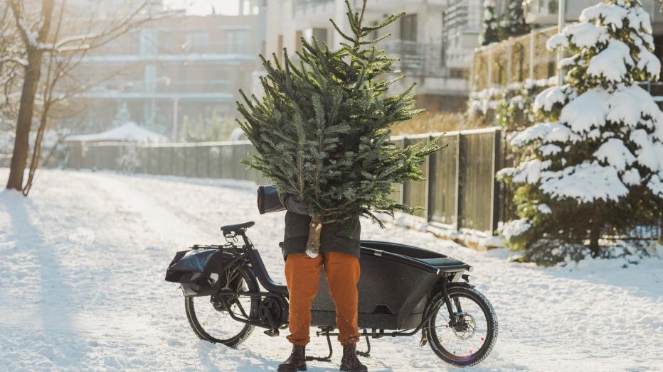 Früher war mehr Lametta: Wissenwertes rund um den Christbaum | Kurier