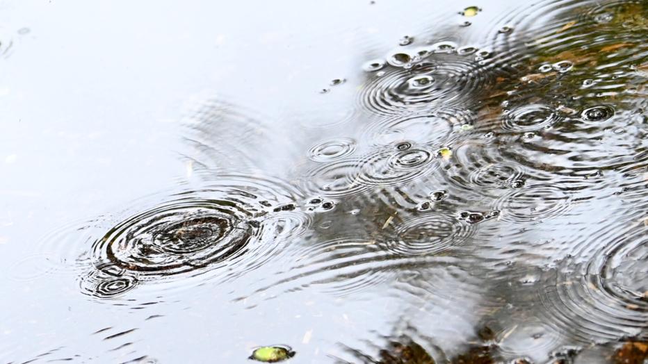 Wetter bleibt unbeständig und regnerisch | Kurier