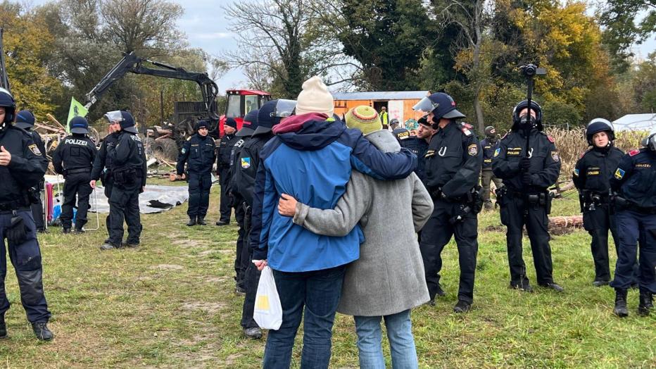 Ostumfahrung Wr. Neustadt: Aktivisten besetzen Auwald - Polizei räumt ...