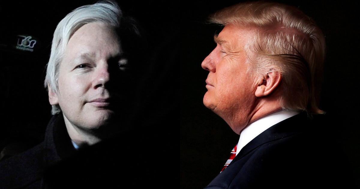 Trump und Assange: Ein kurioses Paar | Kurier
