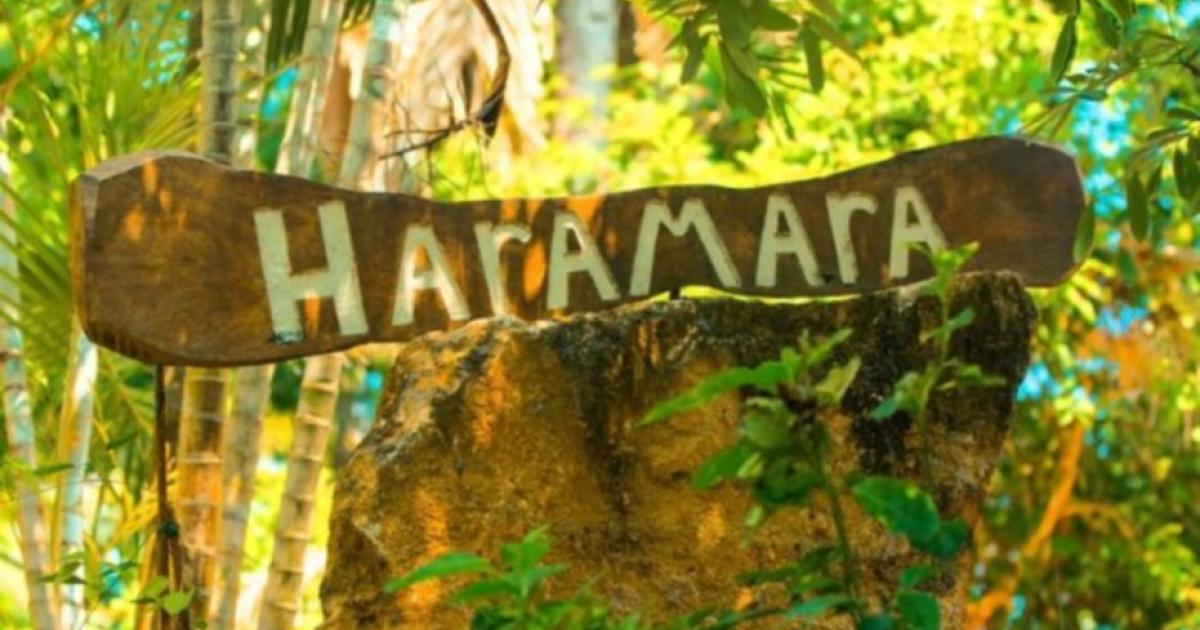 Haramara Yoga Retreat Mexiko | Kurier