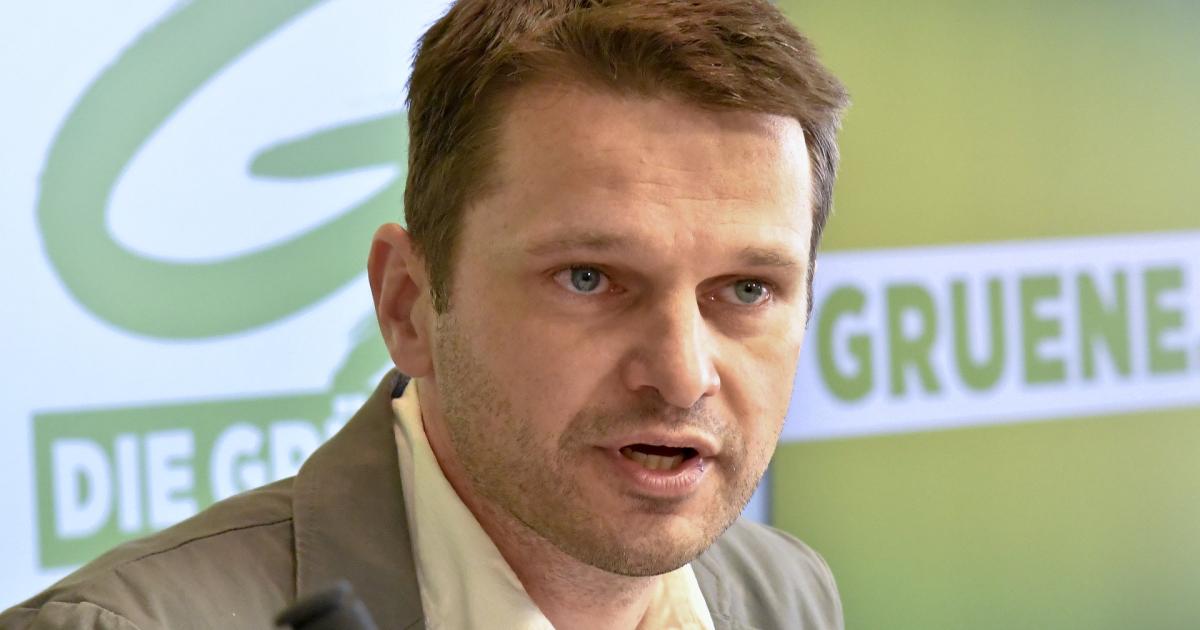 Pilz soll Grünen Interviewabstinenz zugesagt haben | Kurier