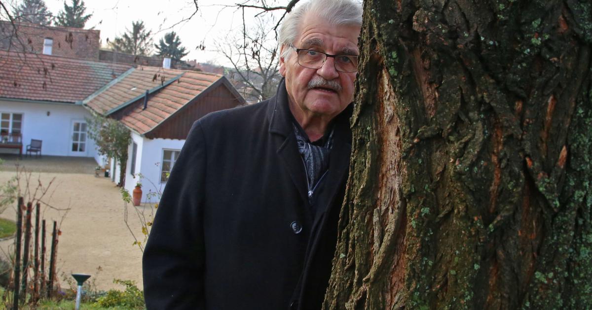 Peter Turrini: "Alle sind auf der Flucht" | Kurier