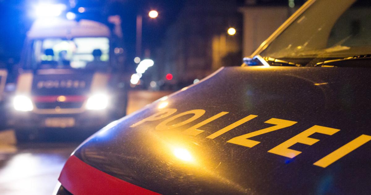 Tumult im Laufhaus: 31-Jähriger nach Diebstahl festgenommen | Kurier