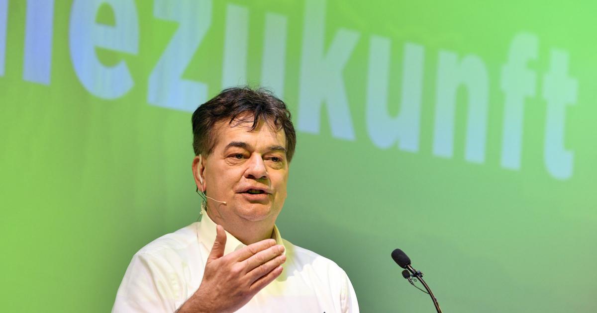 Grüne Selbstfindung: Wo ein Willi, da ein Weg? | Kurier