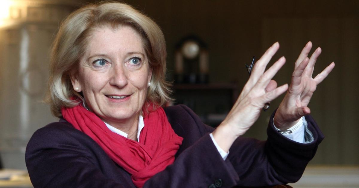 Denkmalamt: Euler-Rolle übernimmt interimistisch von Neubauer | Kurier