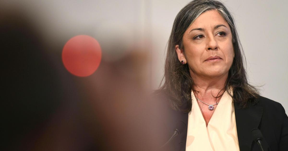 Maria Vassilakou verabschiedet sich aus der Spitzenpolitik | Kurier