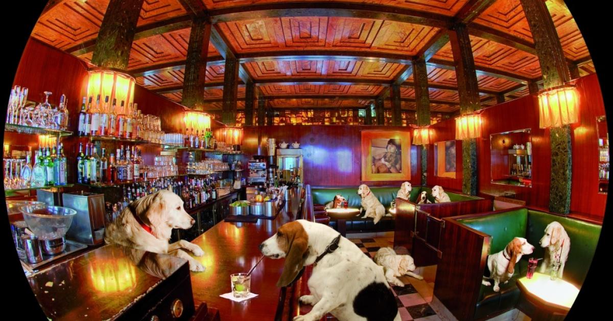 Loos-Bar: Zu Gast im Promi-Wohnzimmer | Kurier