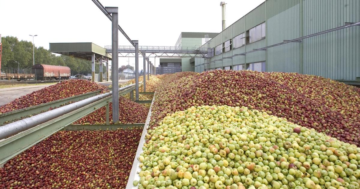Agrana eröffnet ein neues Werk in China | Kurier