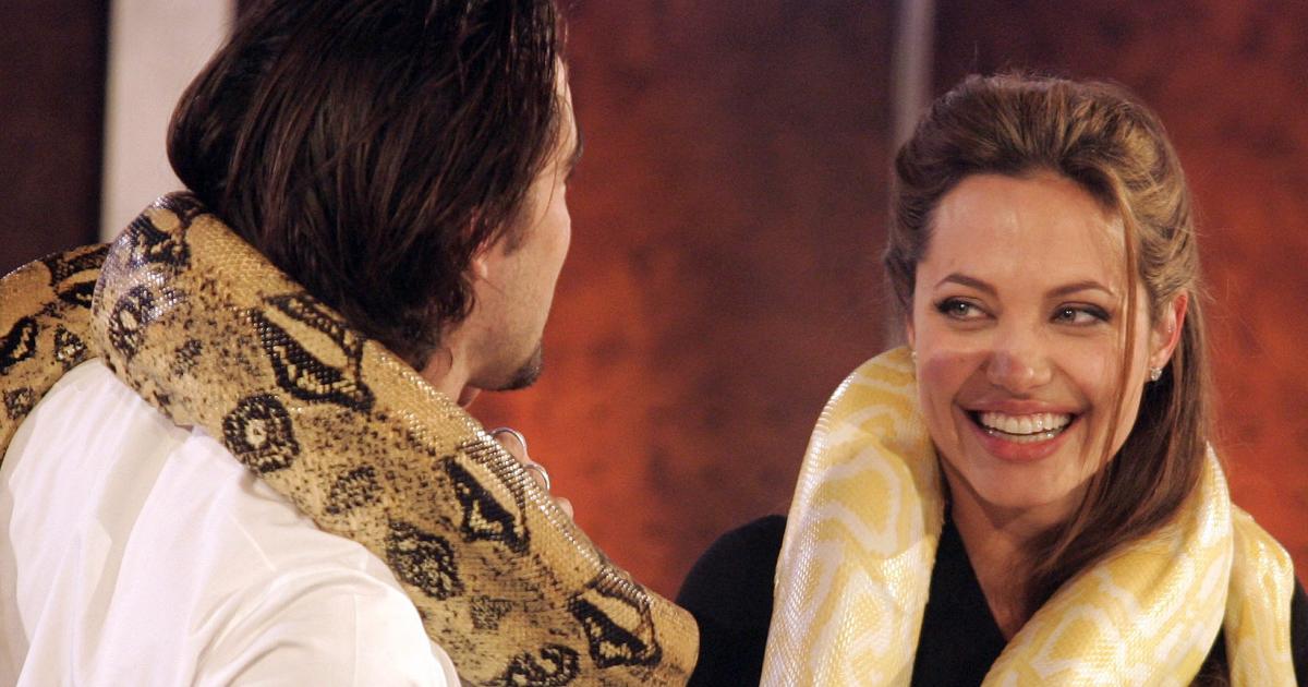 Insider verrät: Angelina Jolie soll Hollywood-Beau daten | Kurier