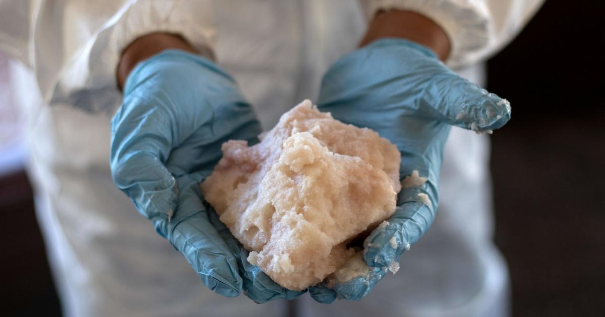 Rekordfund: 2,5 Tonnen Crystal Meth in Versteck entdeckt | Kurier