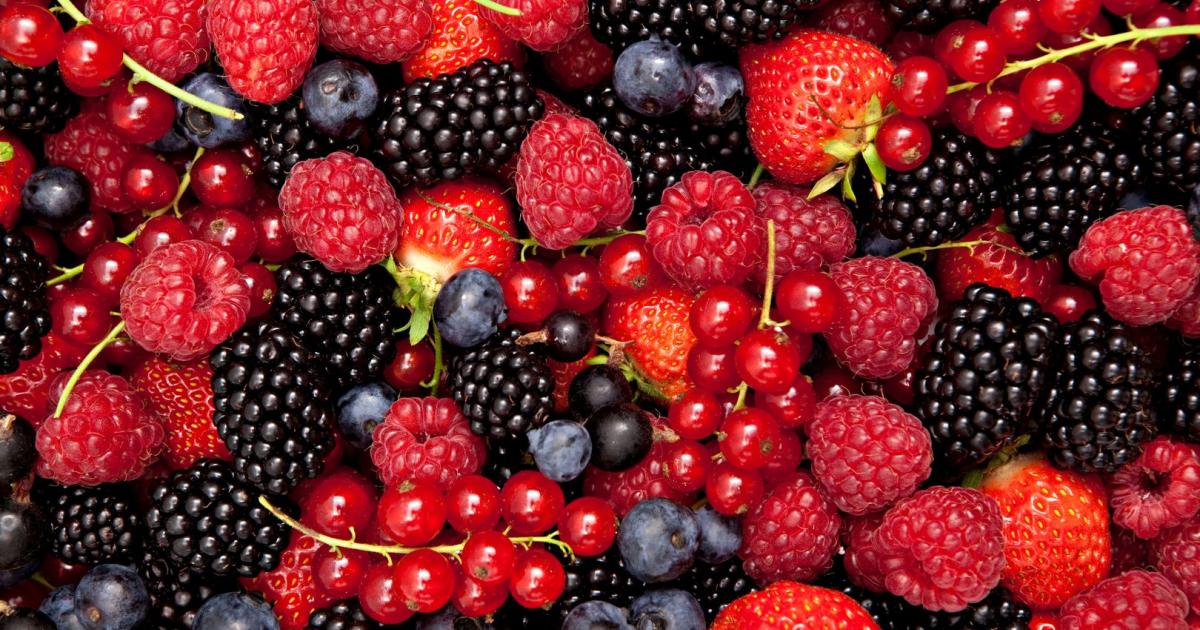 Beerenobst: Bunte Power-Früchte mit großer Wirkung