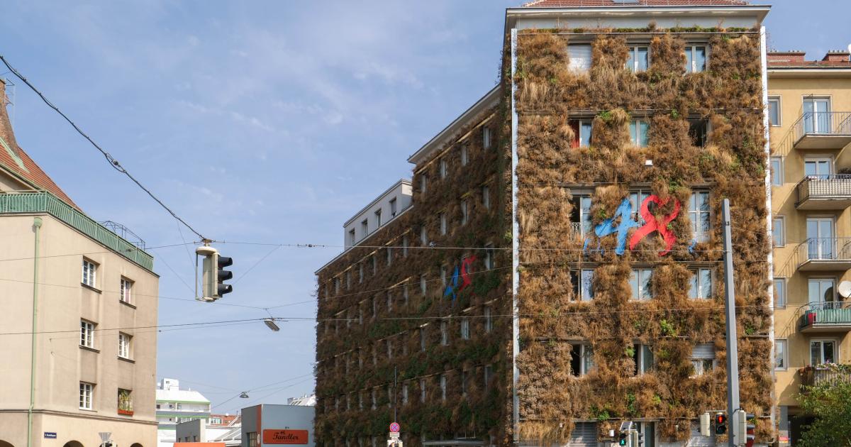 MA-48-Zentrale am Gürtel ist vorübergehend braun statt grün | Kurier