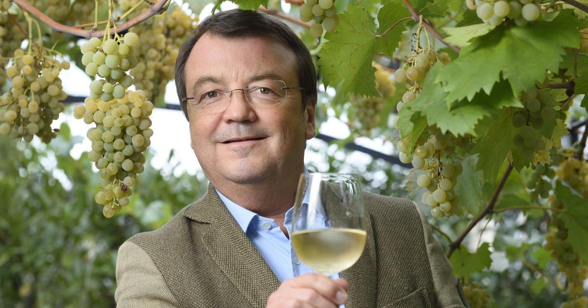 Willi Klinger wird Geschäftsführer von Wein & Co | Kurier