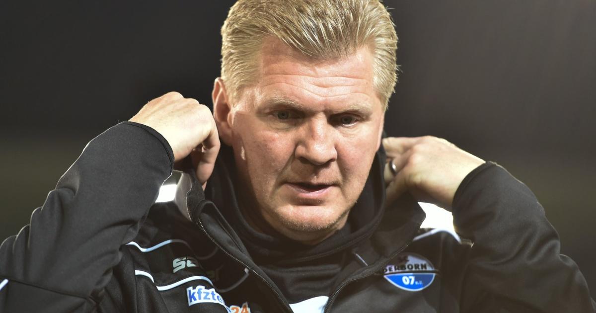 Stefan Effenberg hat einen neuen Job | Kurier