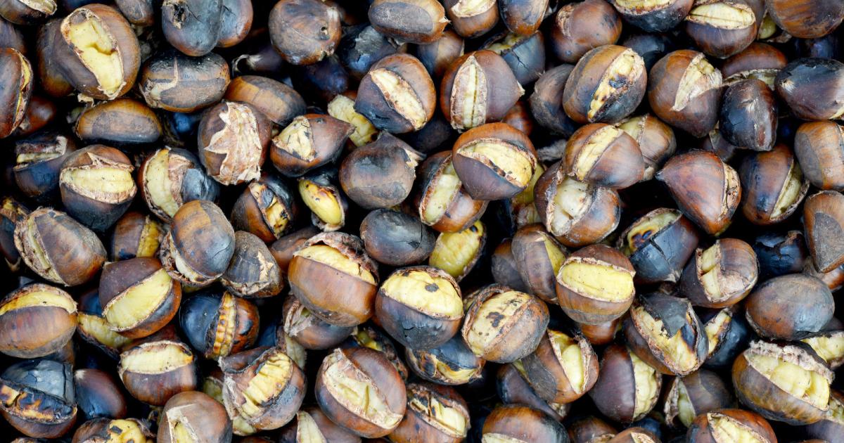 Warum Maroni eine heikle Angelegenheit sind | Kurier