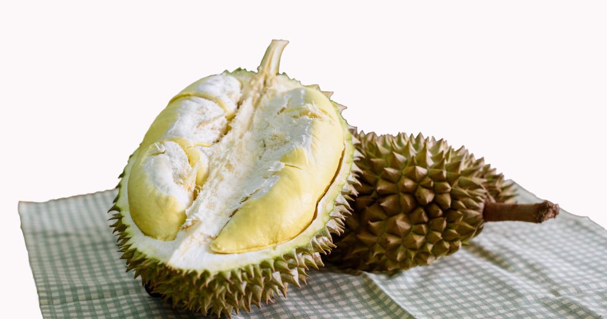 Geheimnis um die Stinkfrucht gelüftet | Kurier