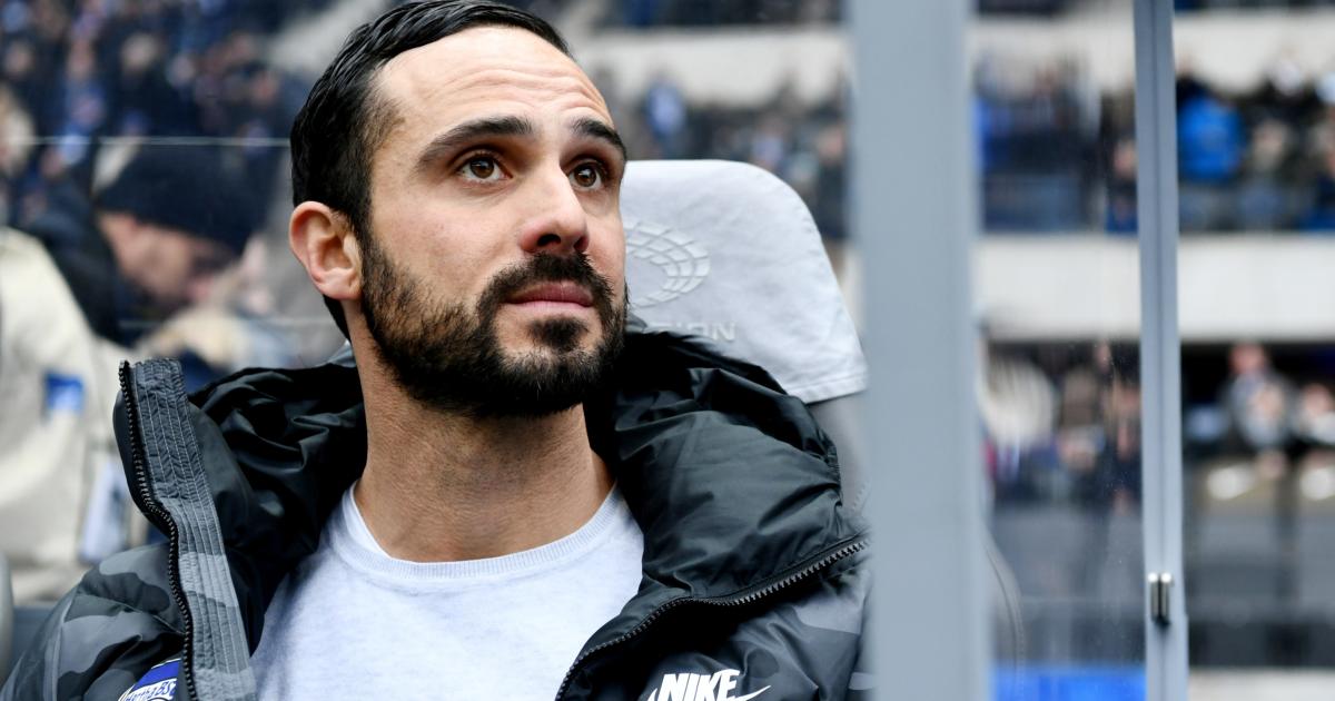 Alexander Nouri ab neuer Saison nicht mehr Hertha-Trainer | Kurier