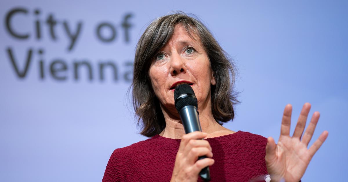 Birgit Hebein will Gratis-Öffi-Jahreskarte für alle Wiener | Kurier