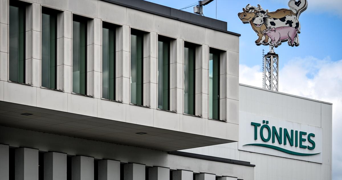 Tönnies nimmt Schlachtbetrieb wieder auf | Kurier