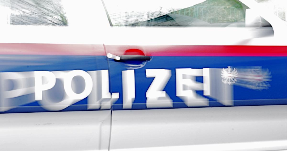 Kärnten: Polizei entdeckte Waffenlager und NS-Devotionalien Kärnten: Polizei entdeckte Waffenlager und NS-Devotionalien