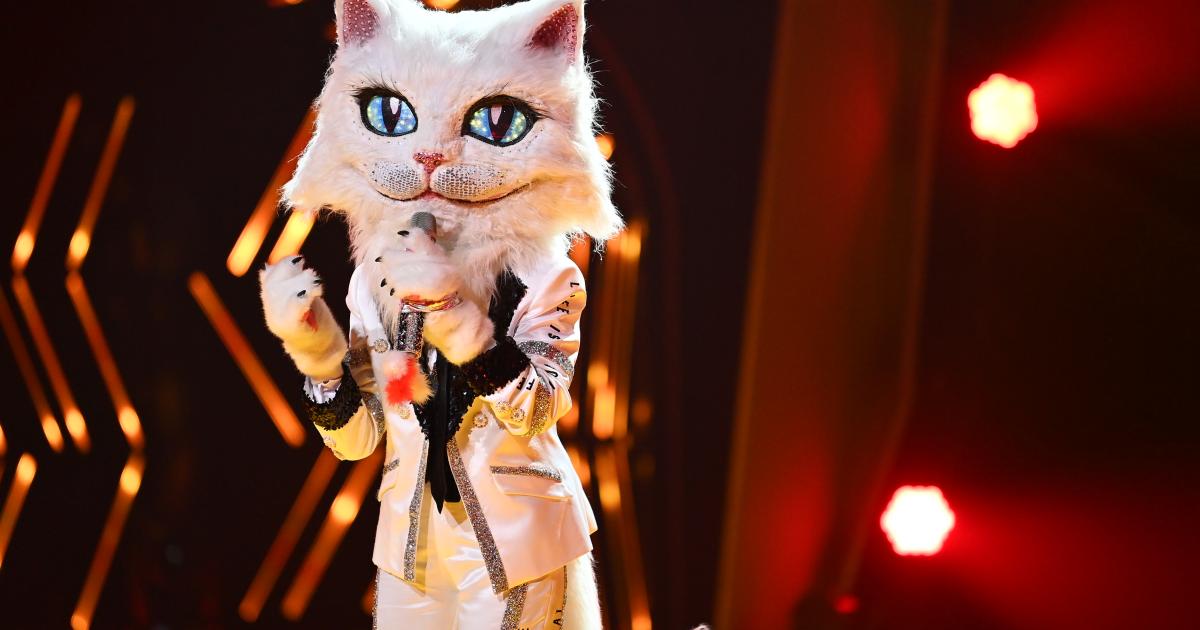 "Masked Singer"-Halbfinale: Die "Katze" hat ausgeschnurrt | Kurier
