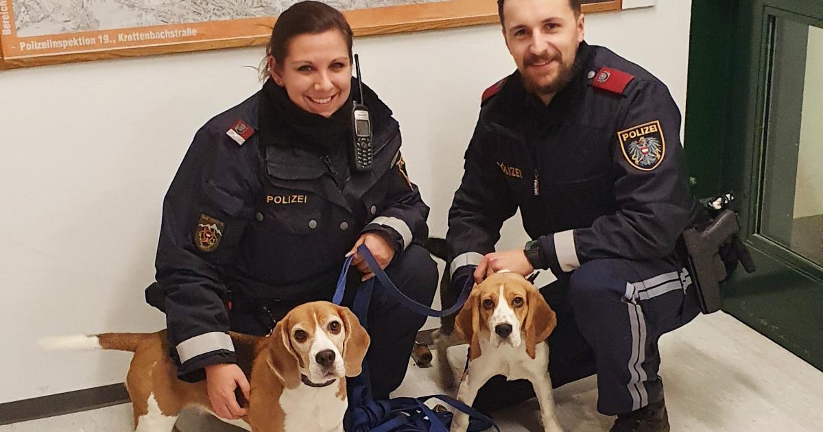 Amy und Finnie auf Tour: Polizei bringt Ausreißer zurück