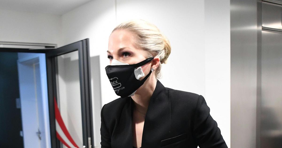 Glock im U-Ausschuss: Hofer "im Tierheim" kennengelernt | Kurier