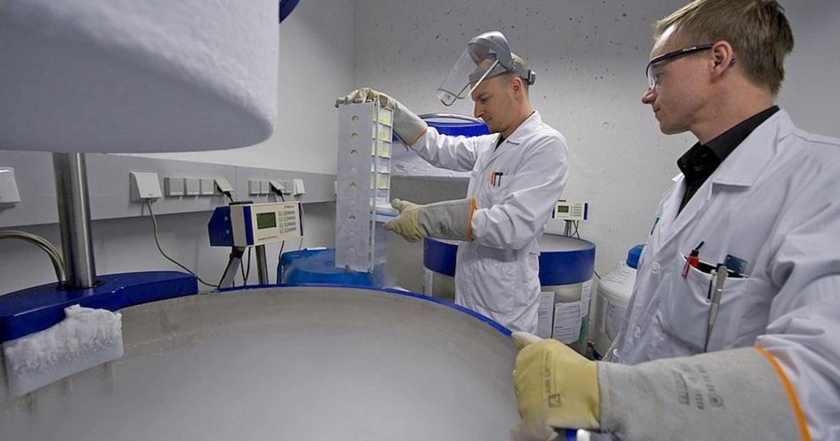 Warum die Biobank Graz die beste Europas ist | Kurier