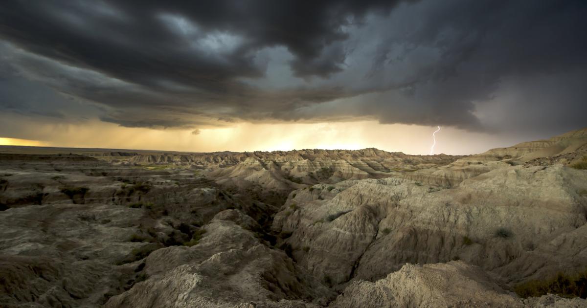 Terra Mater-Chef Köhler: "Den Oscar hätte ich noch gern“ | Kurier