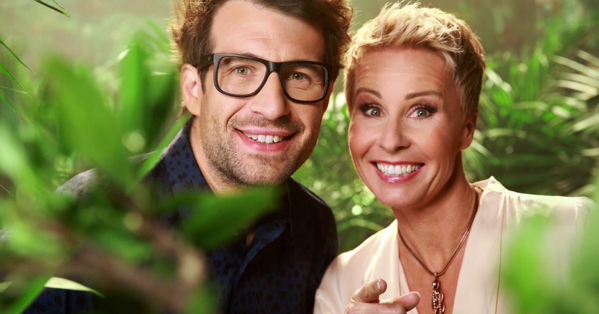 Überraschung: Zieht ATV-Tara ins Dschungelcamp? | Kurier
