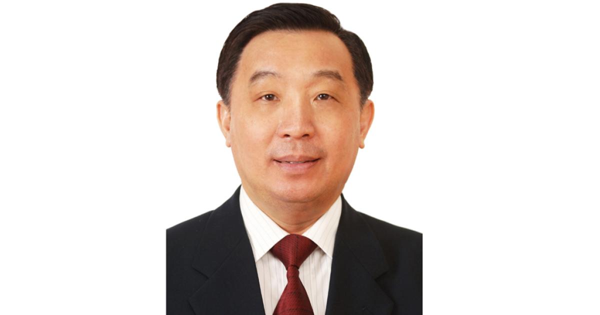 Informationsminister Wang Chen: "Europa kann von China profitieren ...