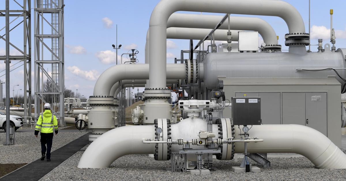 Less gas to Europe: gas transit in Luhansk stopped + Amnesty: "Putin ...