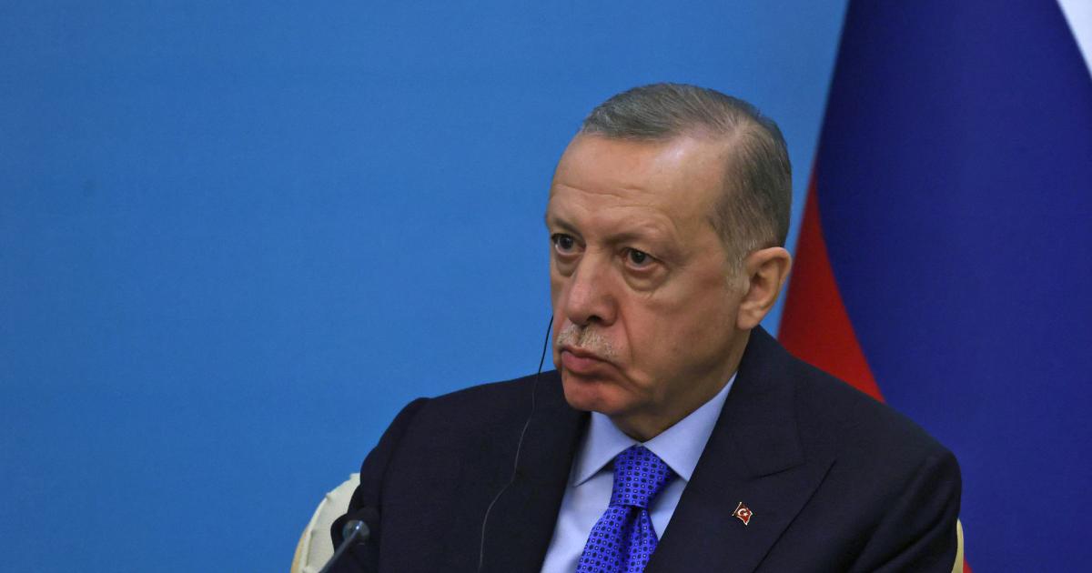 Erdogan-Filter in den sozialen Medien löst Ermittlungen in Türkei aus