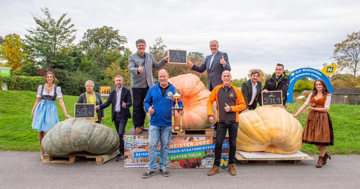 Österreichs schwerster Kürbis brachte 663,9 Kilo auf die Waage | Kurier