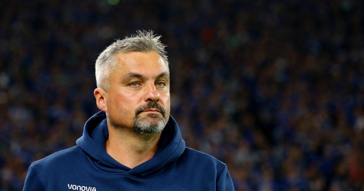 Thomas Reis wird neuer Trainer bei Schalke 04 | Kurier