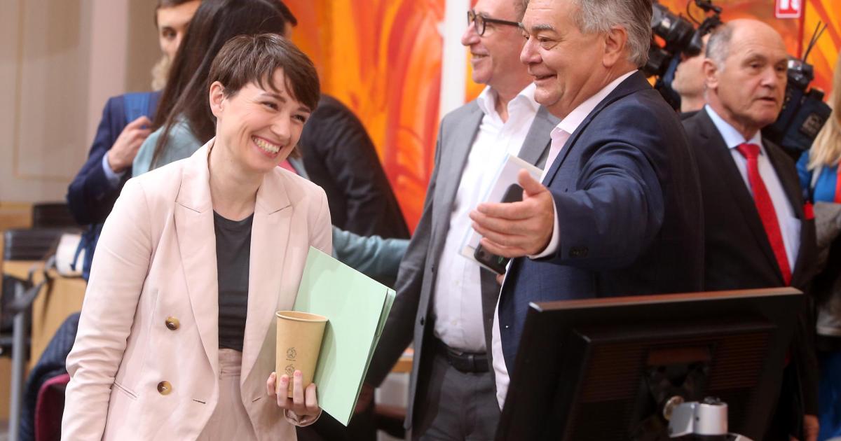 Unzufriedenheit mit Koalitionspartner: Grüne Kritik an ÖVP von zwei Seiten Unzufriedenheit mit Koalitionspartner: Grüne Kritik an ÖVP von zwei Seiten