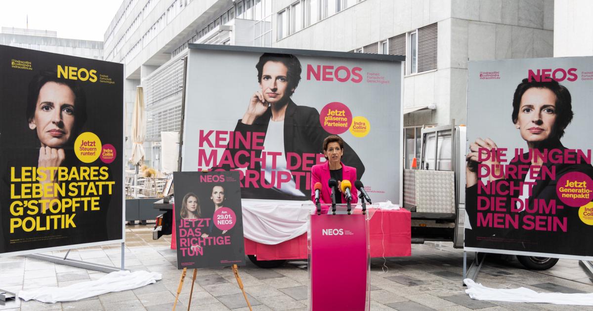 Landtagswahl in NÖ: Neos enthüllen Plakat-Geheimnis | Kurier