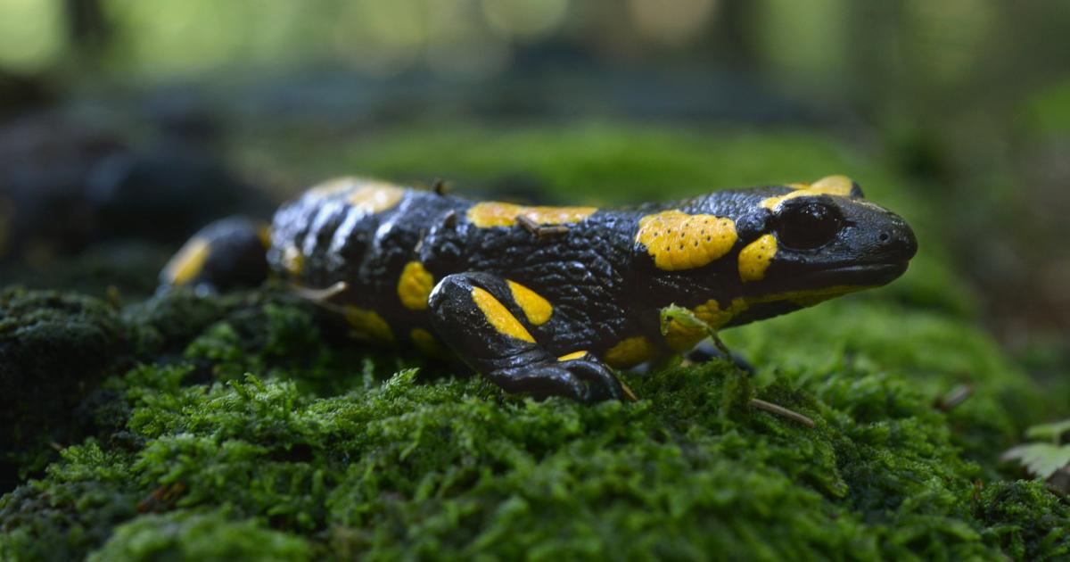 Bokep momy donggeuran danni's a extremely nice and friendly