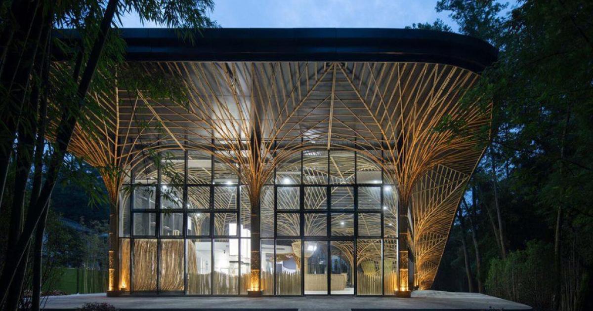 Spaziergang im Bambuswald | Kurier