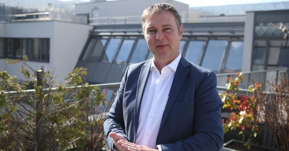 Rote Jugend für Babler: "Aufbruchstimmung innerhalb der Partei" | Kurier