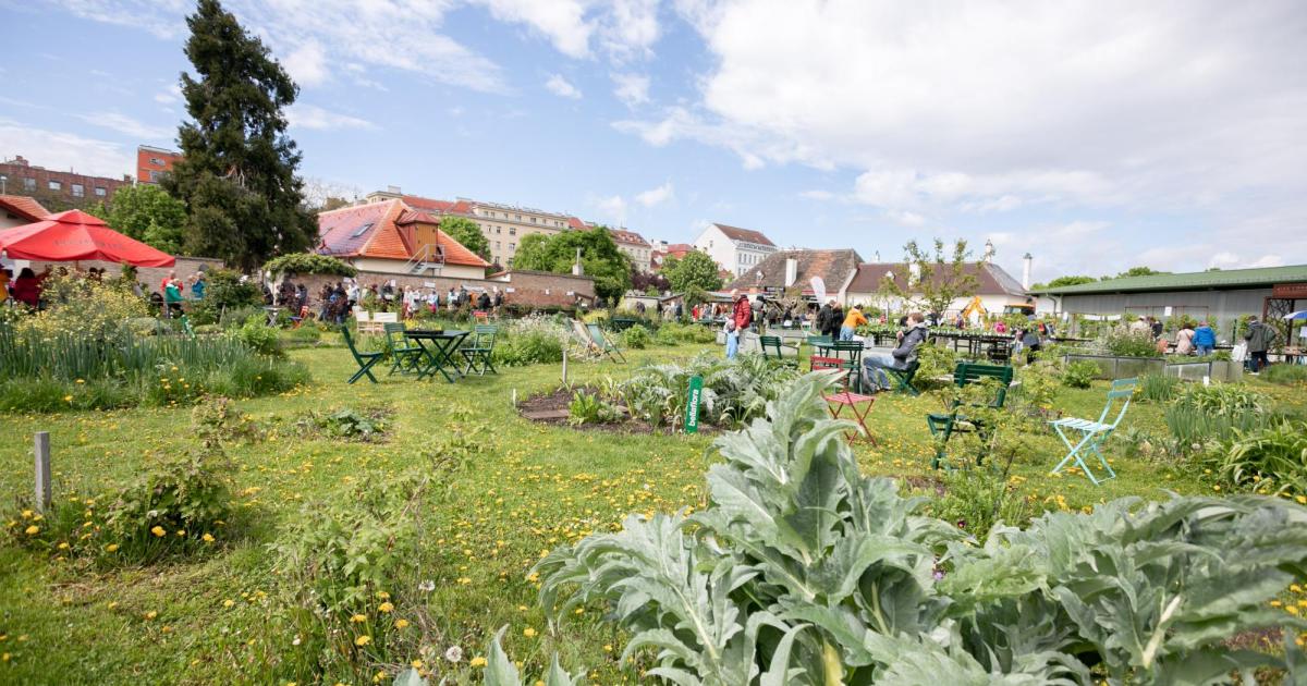 Das war das Eröffnungsfest auf der City Farm im Augarten | Kurier