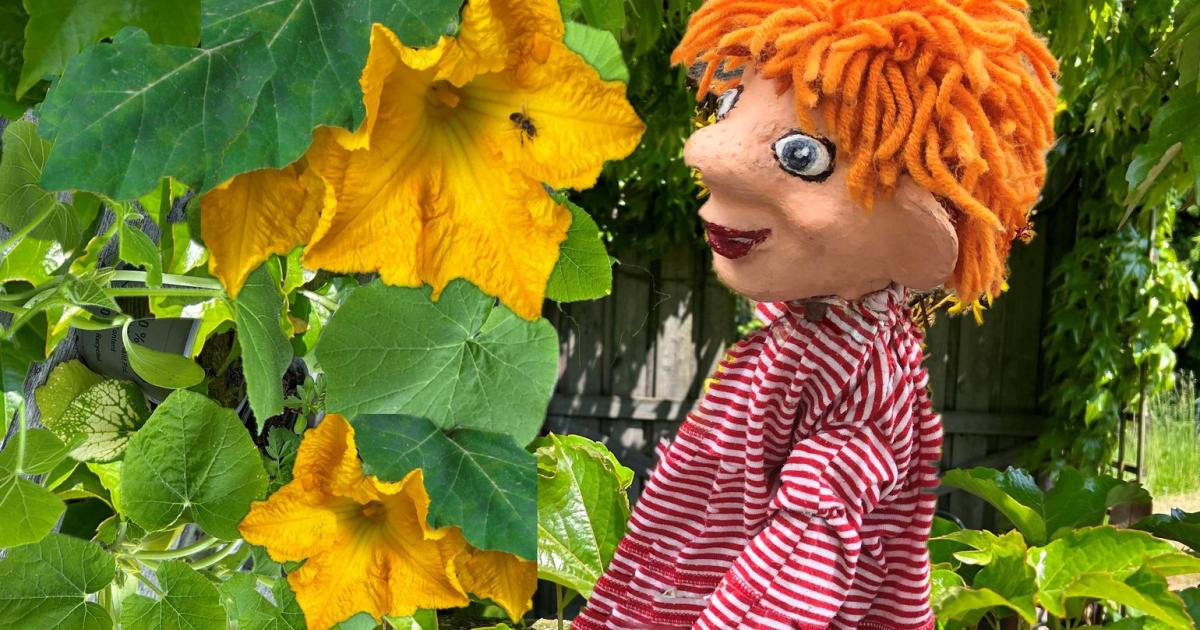 Seppy aus dem Linzer Puppentheater und die widerspenstigen Samen