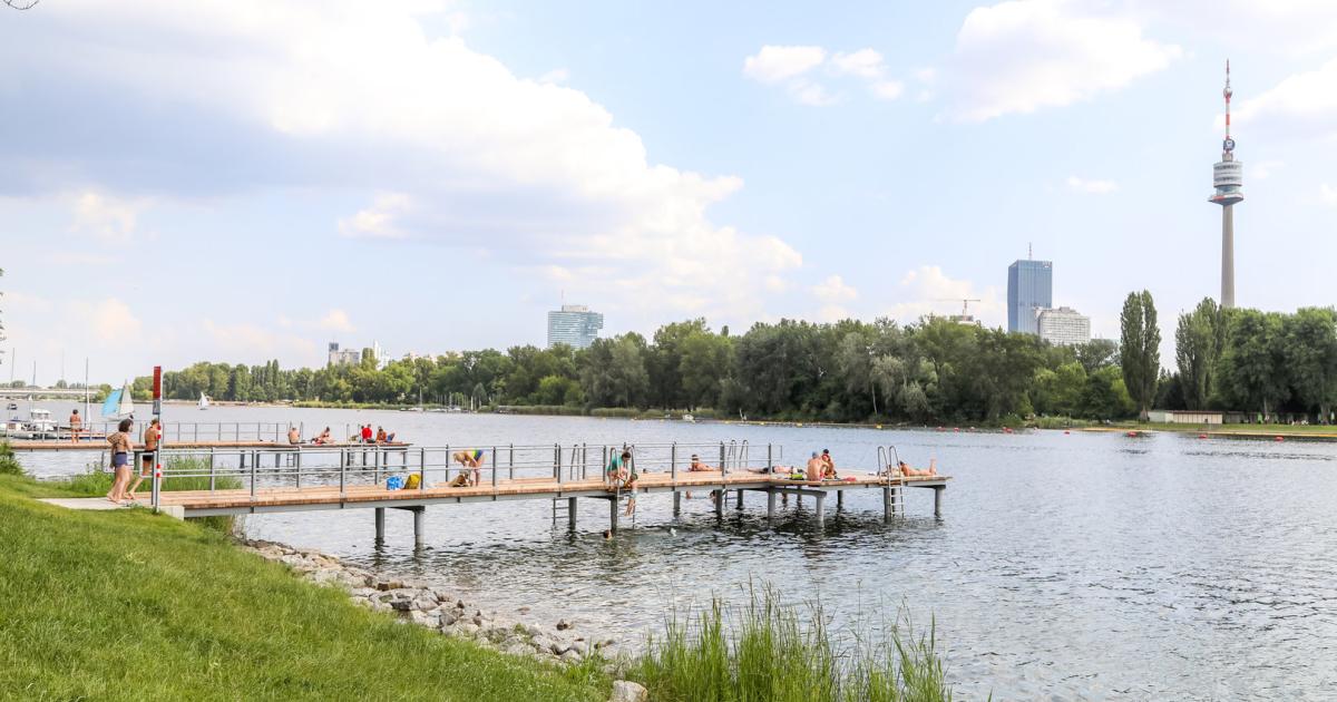 Neue Badestege für Alte Donau | Kurier