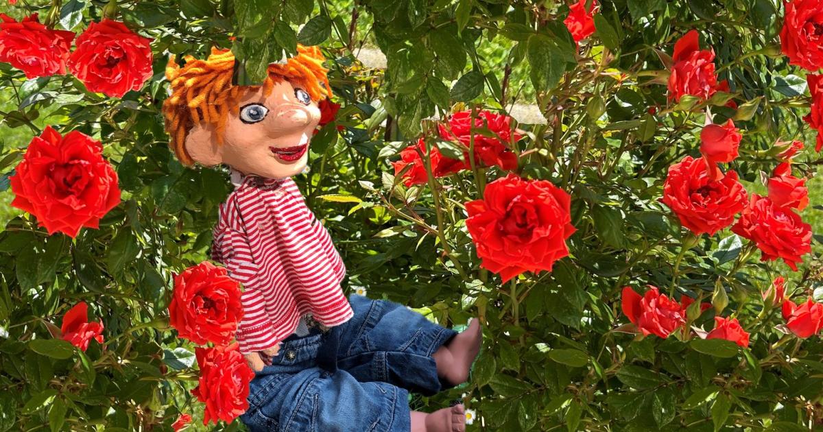 Seppy beim Spielen: Versteckt und nicht gefunden | Kurier