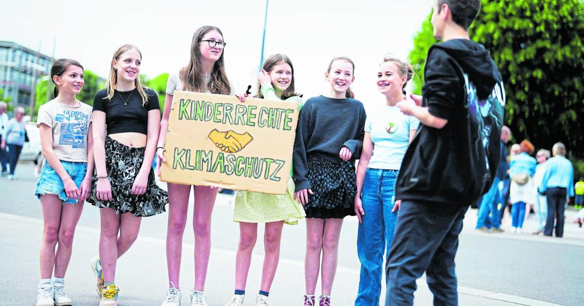 VfGH-Entscheid zu "Klimaklage" - Wissenschafter orten Systemversagen