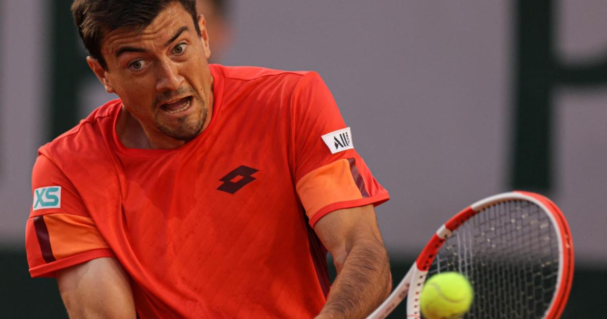 Sebastian Ofner's Journey to Tennis Success: From Challenger Qualifiers ...